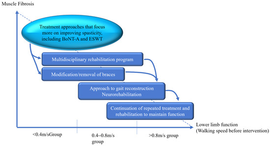 Gait Reconstruction Strategy Using Botulinum Toxin Therapy Combined ...