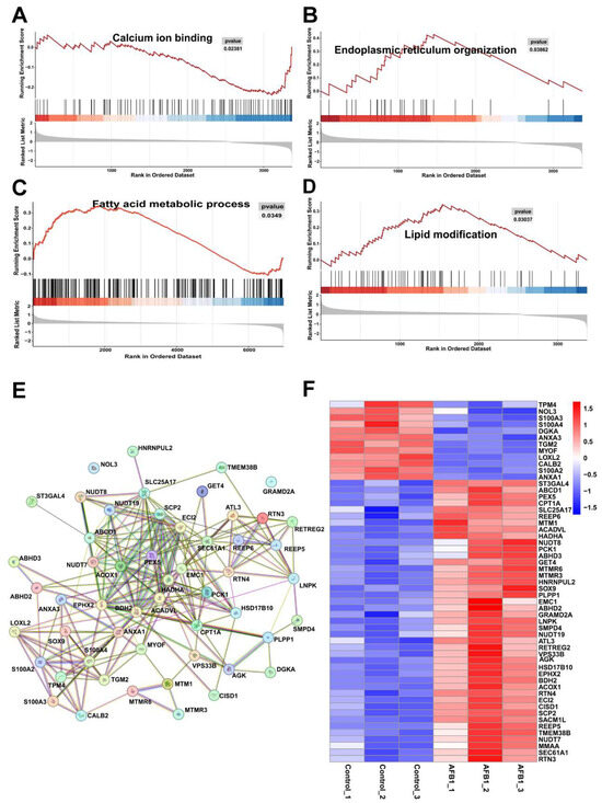 Combining Multiple Omics with Molecular Dynamics Reveals SCP2-Mediated ...