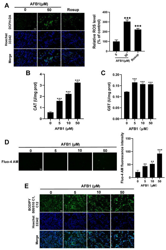 Combining Multiple Omics with Molecular Dynamics Reveals SCP2-Mediated ...