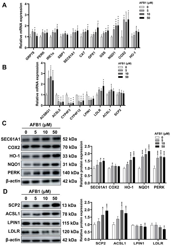 Combining Multiple Omics with Molecular Dynamics Reveals SCP2-Mediated ...