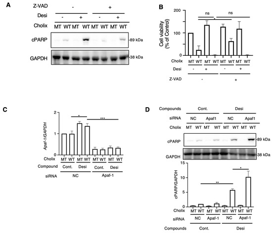 Extracellular Vesicle Inhibitors Enhance Cholix-Induced Cell Death via ...