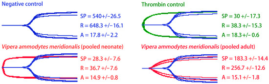 Tiny but Mighty: Vipera ammodytes meridionalis (Eastern Long-Nosed ...