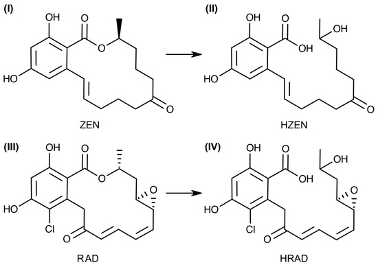 Enzymatic Hydrolysis of Resorcylic Acid Lactones by an Aeromicrobium sp.