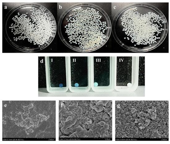 Simultaneous Degradation of AFB1 and ZEN by CotA Laccase from Bacillus ...
