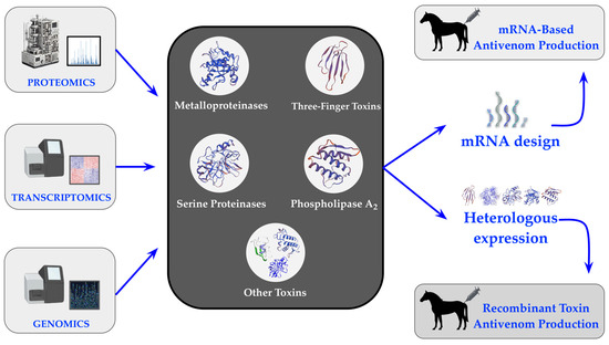 Current Technologies in Snake Venom Analysis and Applications