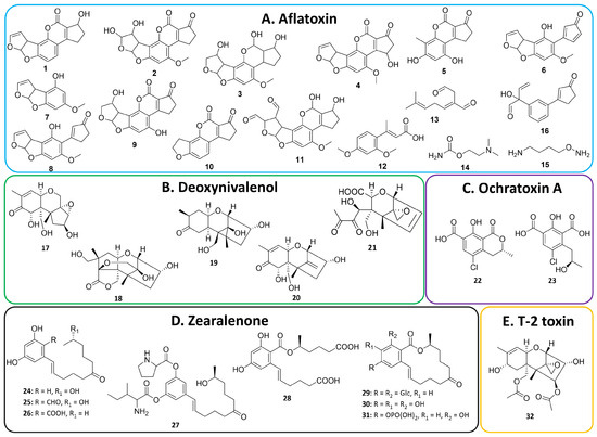 Mycotoxin Biodegradation by Bacillus Bacteria—A Review