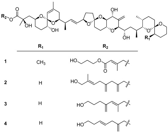 Isolation and Structural Identification of New Diol Esters of Okadaic ...