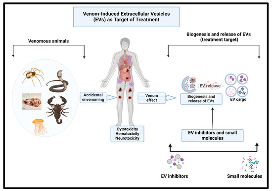 Venoms and Extracellular Vesicles: A New Frontier in Venom Biology