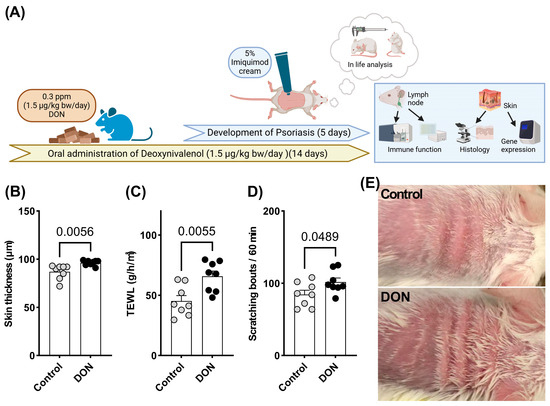 Short-Term Oral Administration of 1.5 μg/kg bw/day of Deoxynivalenol ...