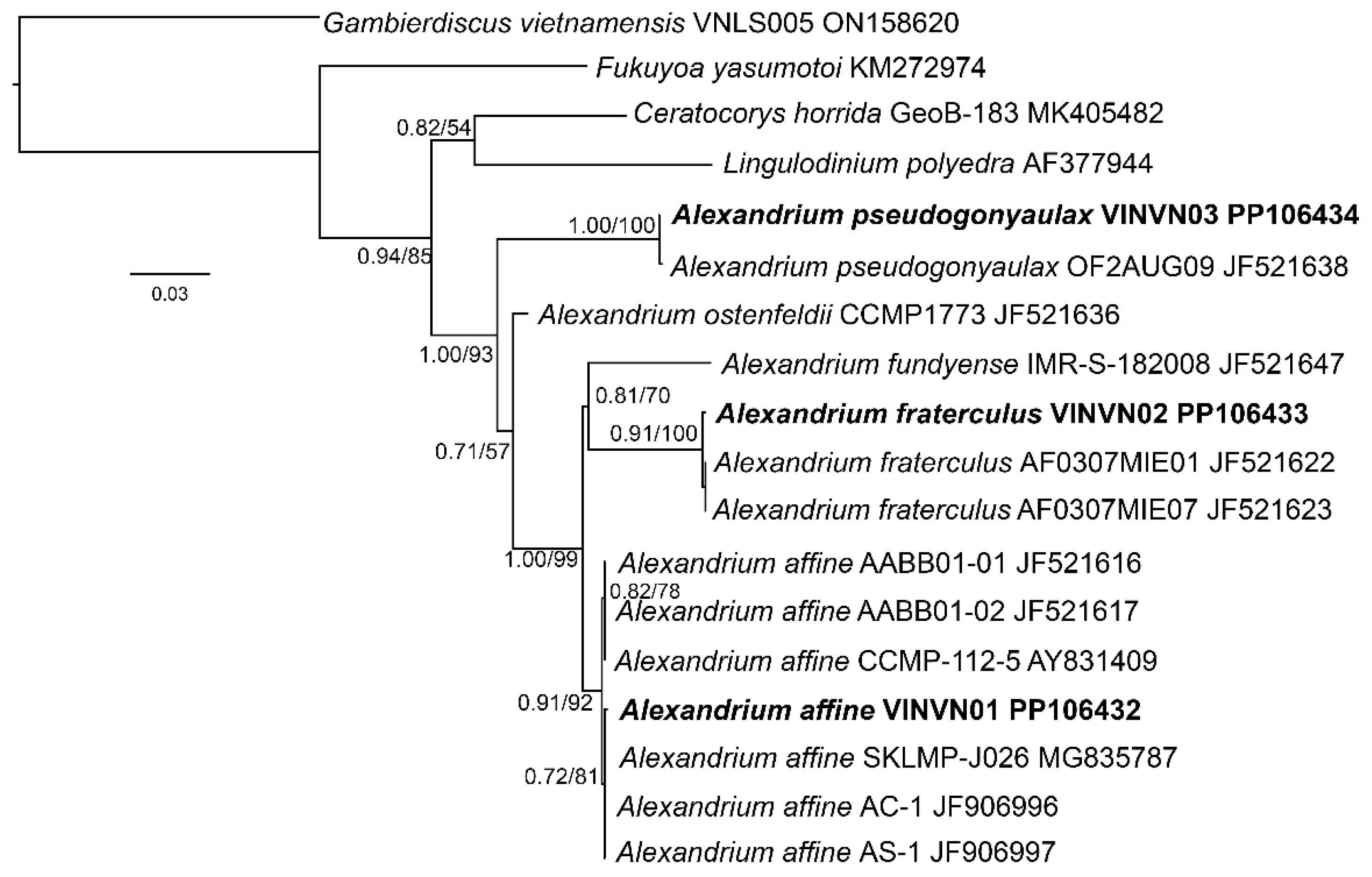 Phylogenetic and Autecology Characteristics of Five Potentially Harmful ...