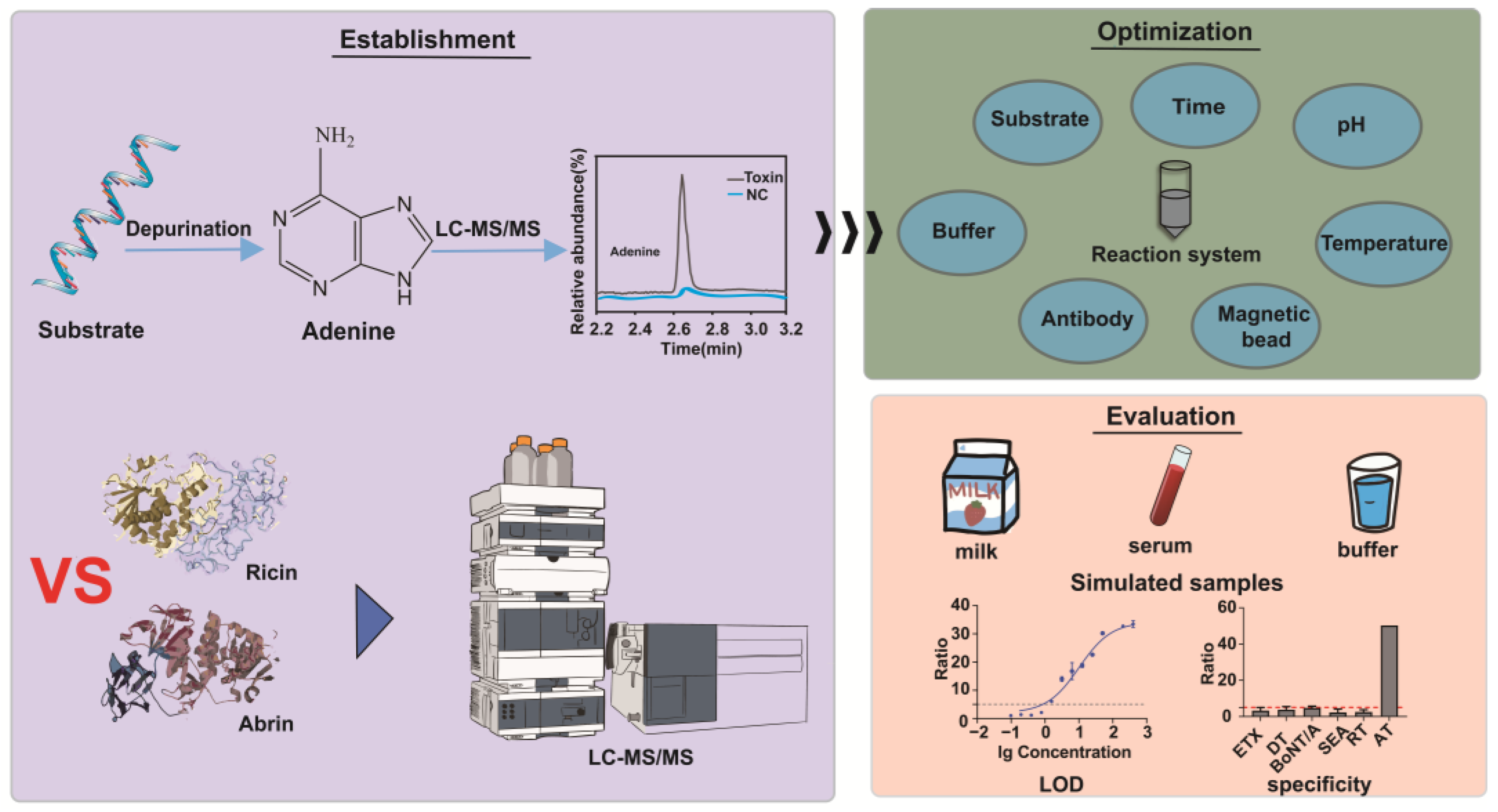 Establishment and Comparison of Detection Methods for Ricin and Abrin ...