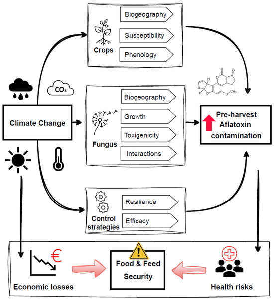 Pre-Harvest Aflatoxin Contamination in Crops and Climate Change Factors: A European Overview