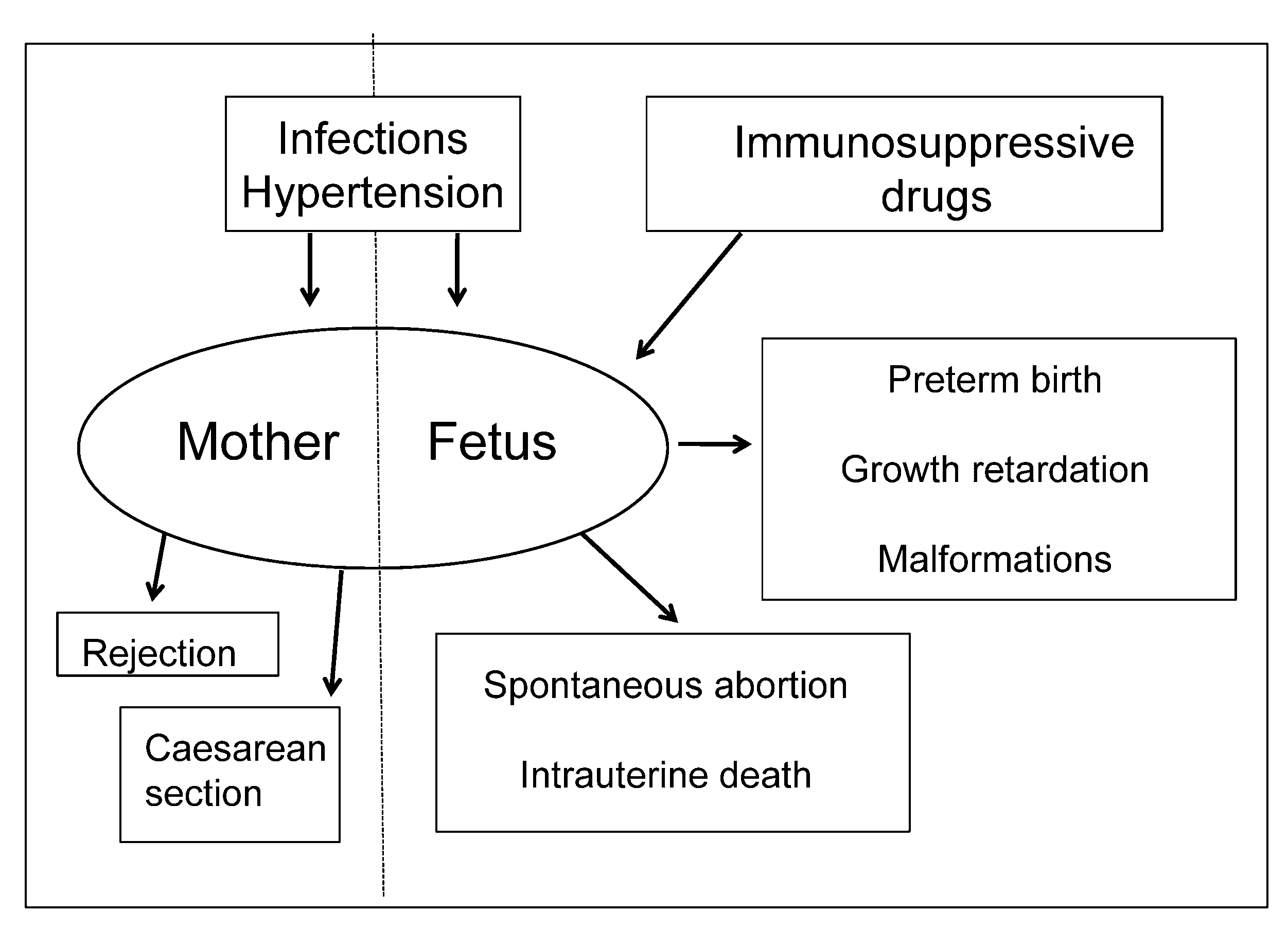Fertility and Pregnancy in End Stage Kidney Failure Patients and after ...