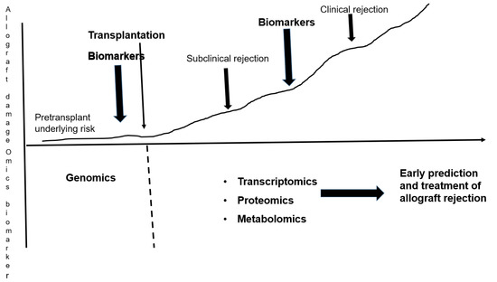 Role of Biomarkers in Detecting Acute Rejection in Kidney Transplantation