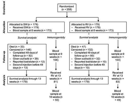 Rabies Vaccination of 6-Week-Old Puppies Born to Immunized Mothers: A ...