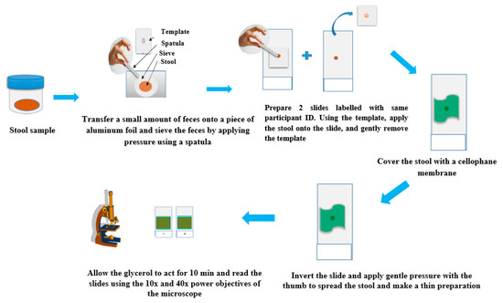 Diagnostic Techniques of Soil-Transmitted Helminths: Impact on Control ...