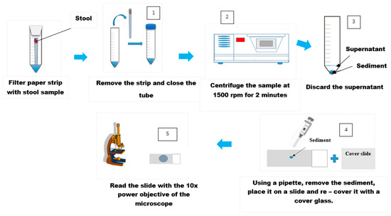 TropicalMed | Free Full-Text | Diagnostic Techniques of Soil ...