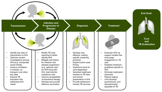 Tuberculosis in Adolescents and Young Adults: Emerging Data on TB ...