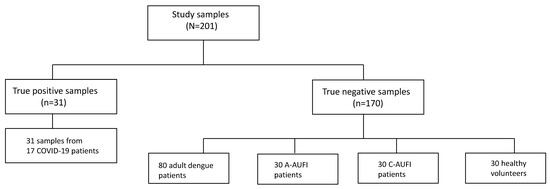 Tropical Medicine and Infectious Disease | An Open Access Journal from MDPI