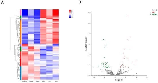 Tropical Medicine and Infectious Disease | An Open Access Journal from MDPI