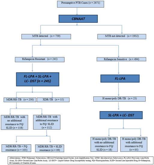 The Characteristics and Patterns of Drug-Resistant Pulmonary ...