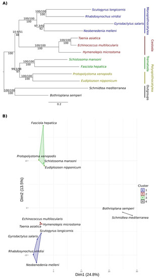 Exploring Evolutionary Relationships within Neodermata Using Putative ...