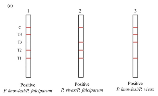 Point-of-Care Diagnosis of Malaria Using a Simple, Purification-Free ...
