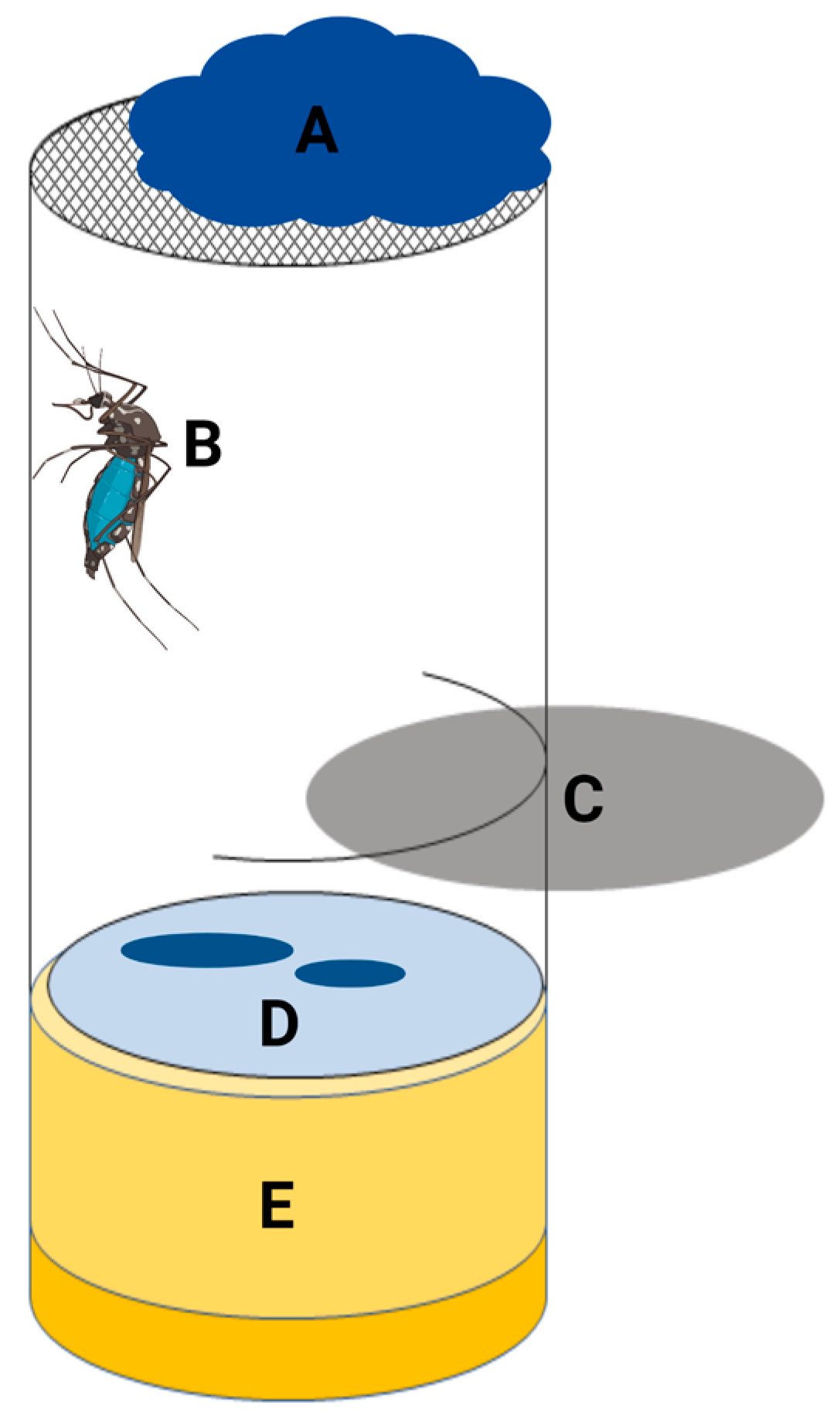 Excretion Dynamics of Arboviruses in Mosquitoes and the Potential Use ...
