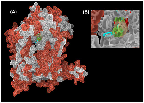 Mitochondrial Cytochrome bc1 Complex as Validated Drug Target: A ...