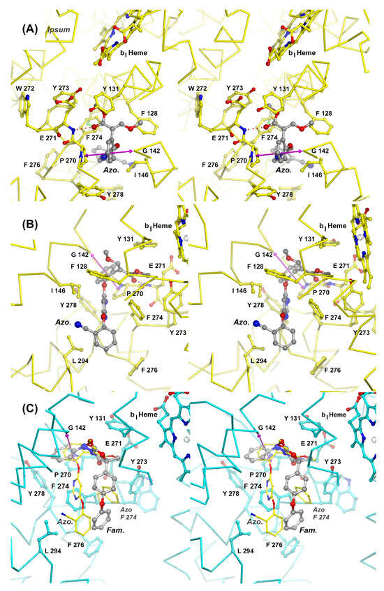 Mitochondrial Cytochrome bc1 Complex as Validated Drug Target: A ...