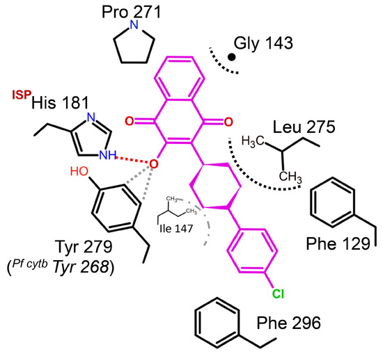Mitochondrial Cytochrome bc1 Complex as Validated Drug Target: A ...