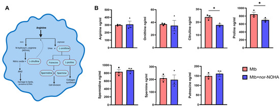 Therapeutic Modulation of Arginase with nor-NOHA Alters Immune ...