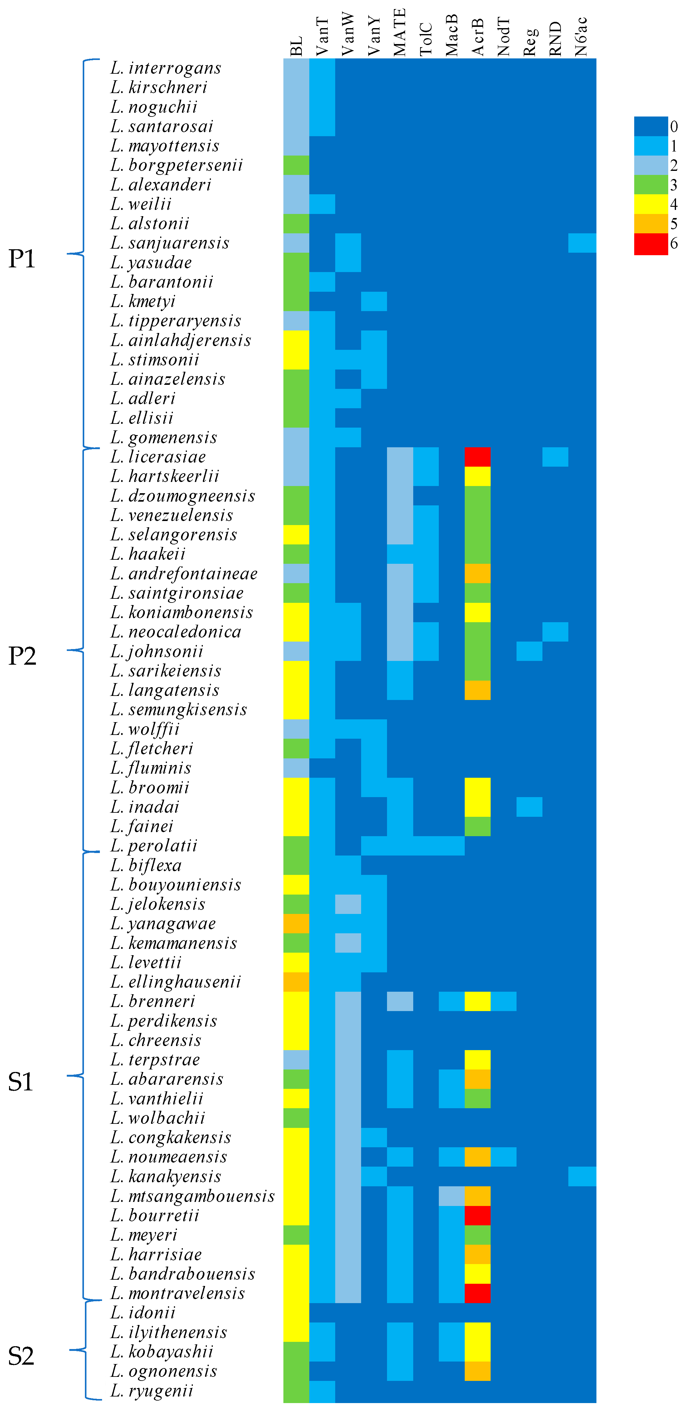 Detection of Genes Related to Antibiotic Resistance in Leptospira