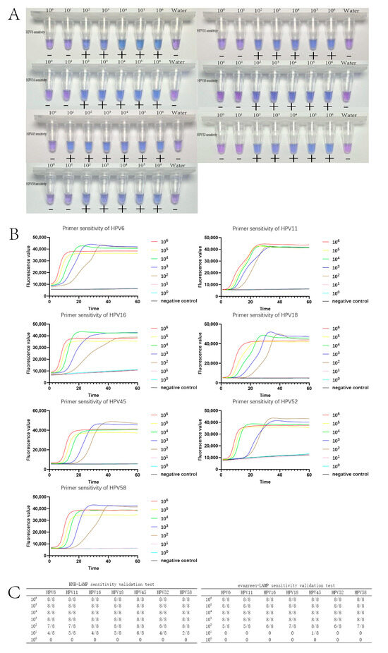 Field-Applicable Loop-Mediated Isothermal Amplification for the ...