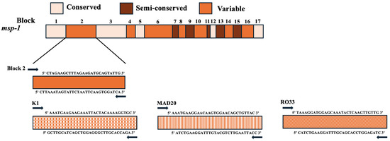 Genotyping and Characterizing Plasmodium falciparum to Reveal Genetic ...