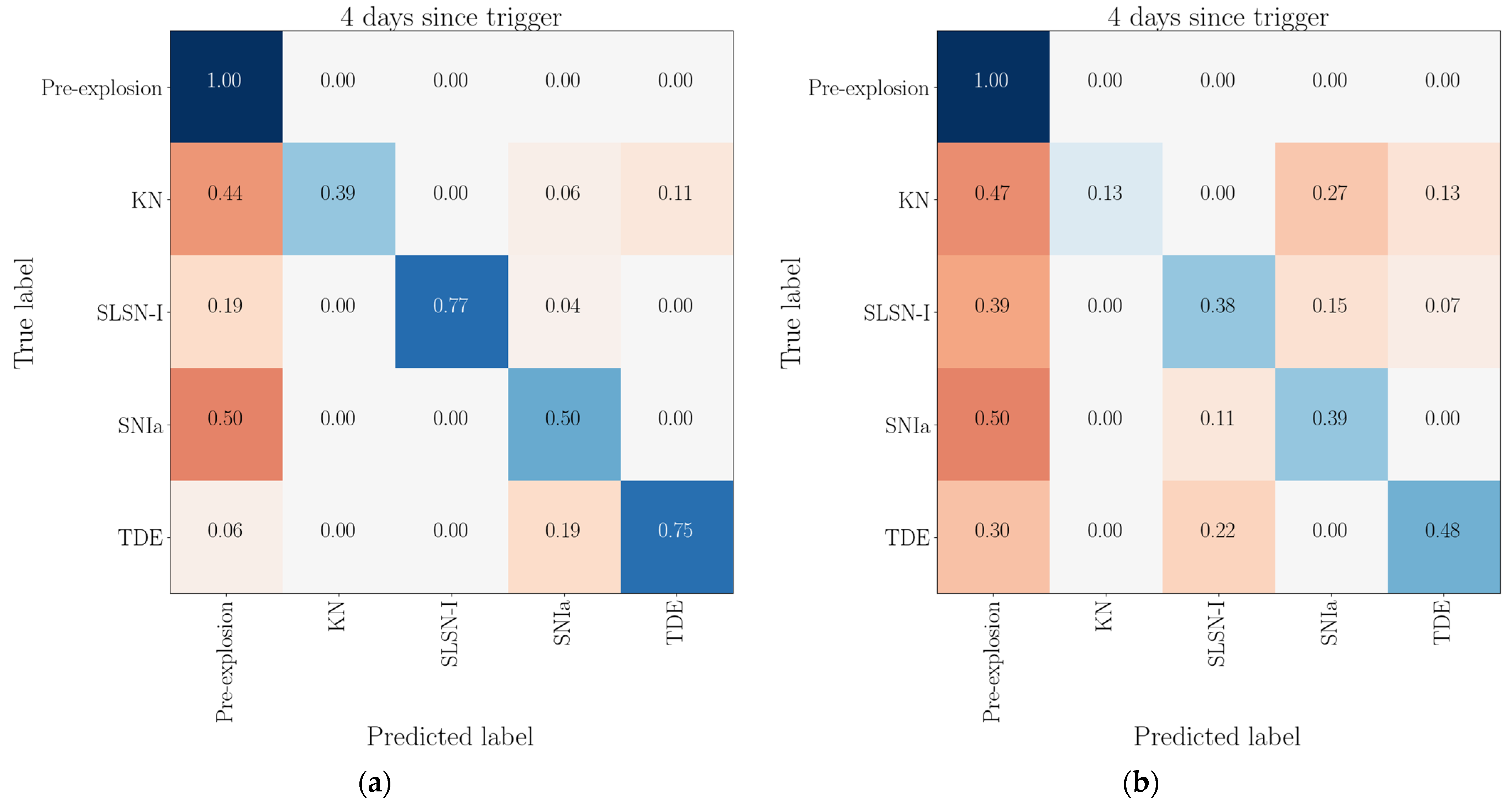 TLW: A Real-Time Light Curve Classification Algorithm for Transients Based on Machine Learning