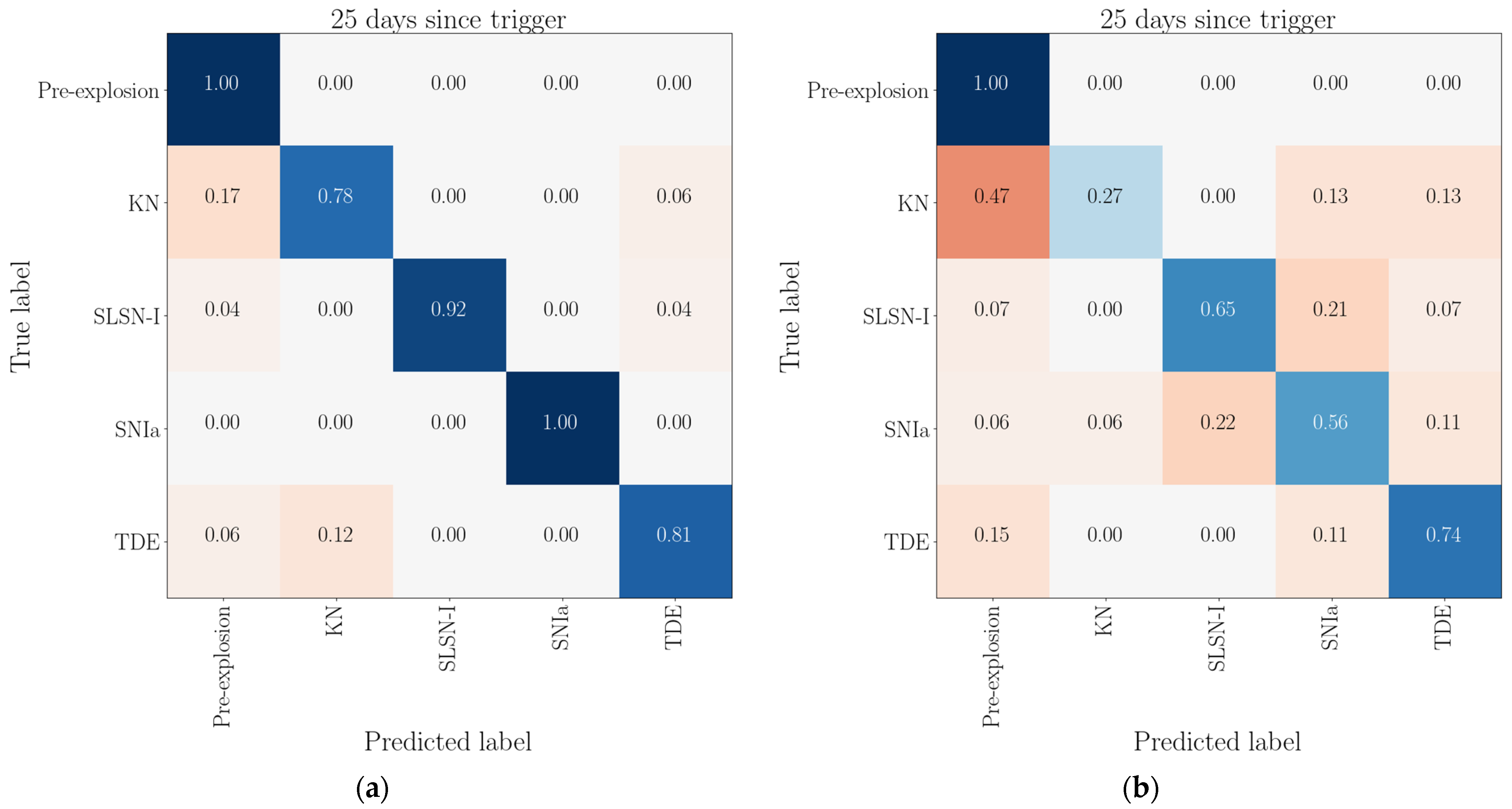 TLW: A Real-Time Light Curve Classification Algorithm for Transients Based on Machine Learning