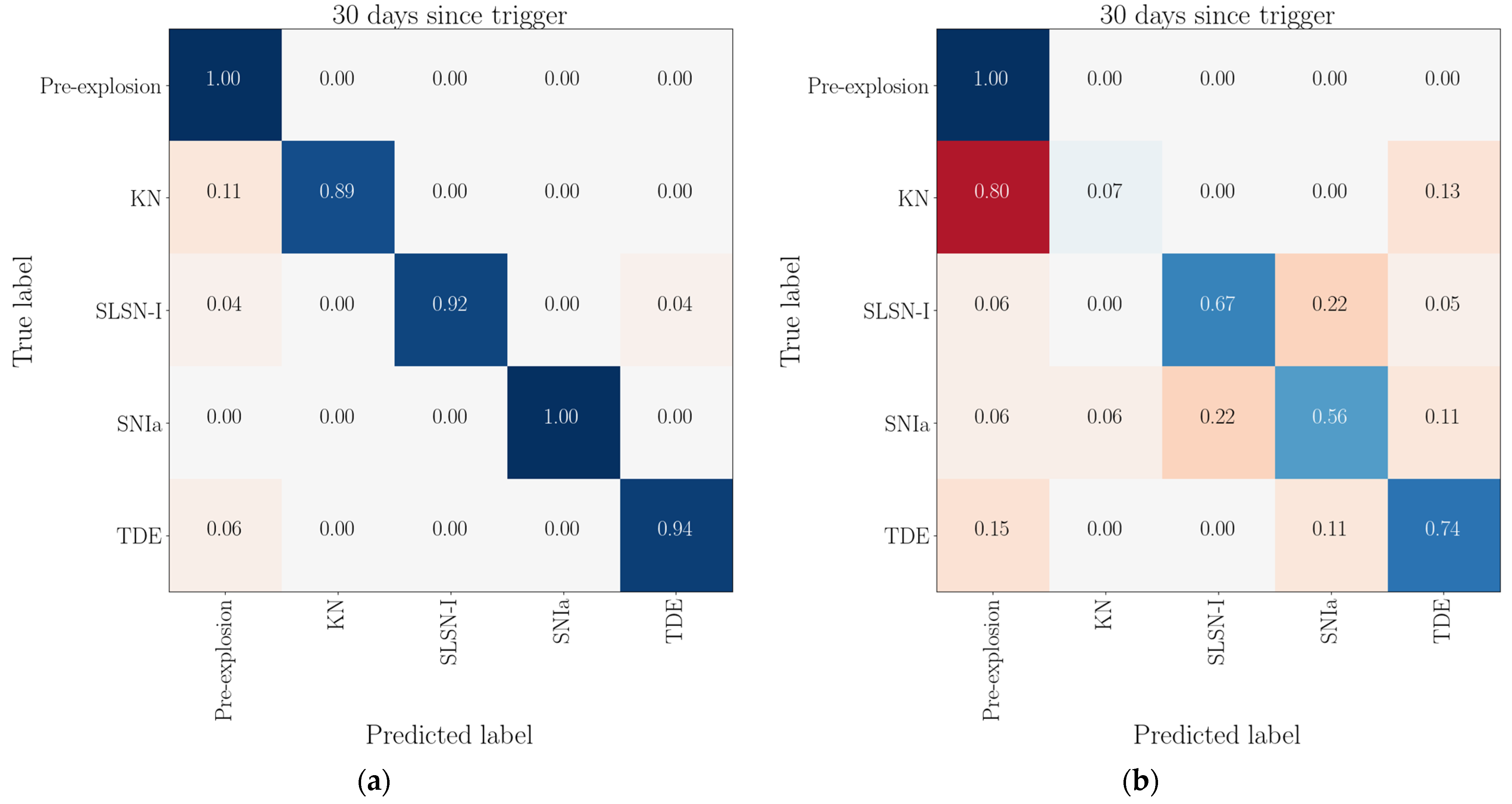 TLW: A Real-Time Light Curve Classification Algorithm for Transients Based on Machine Learning