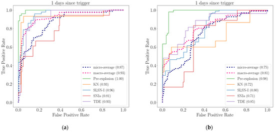 TLW: A Real-Time Light Curve Classification Algorithm for Transients Based on Machine Learning