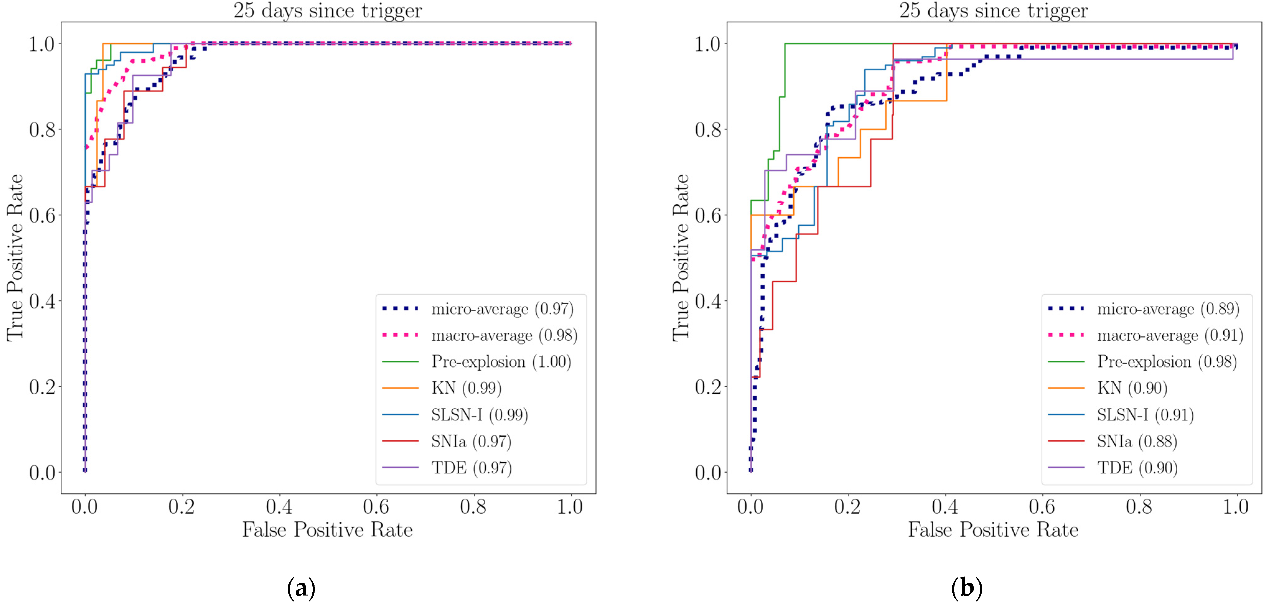 TLW: A Real-Time Light Curve Classification Algorithm for Transients Based on Machine Learning