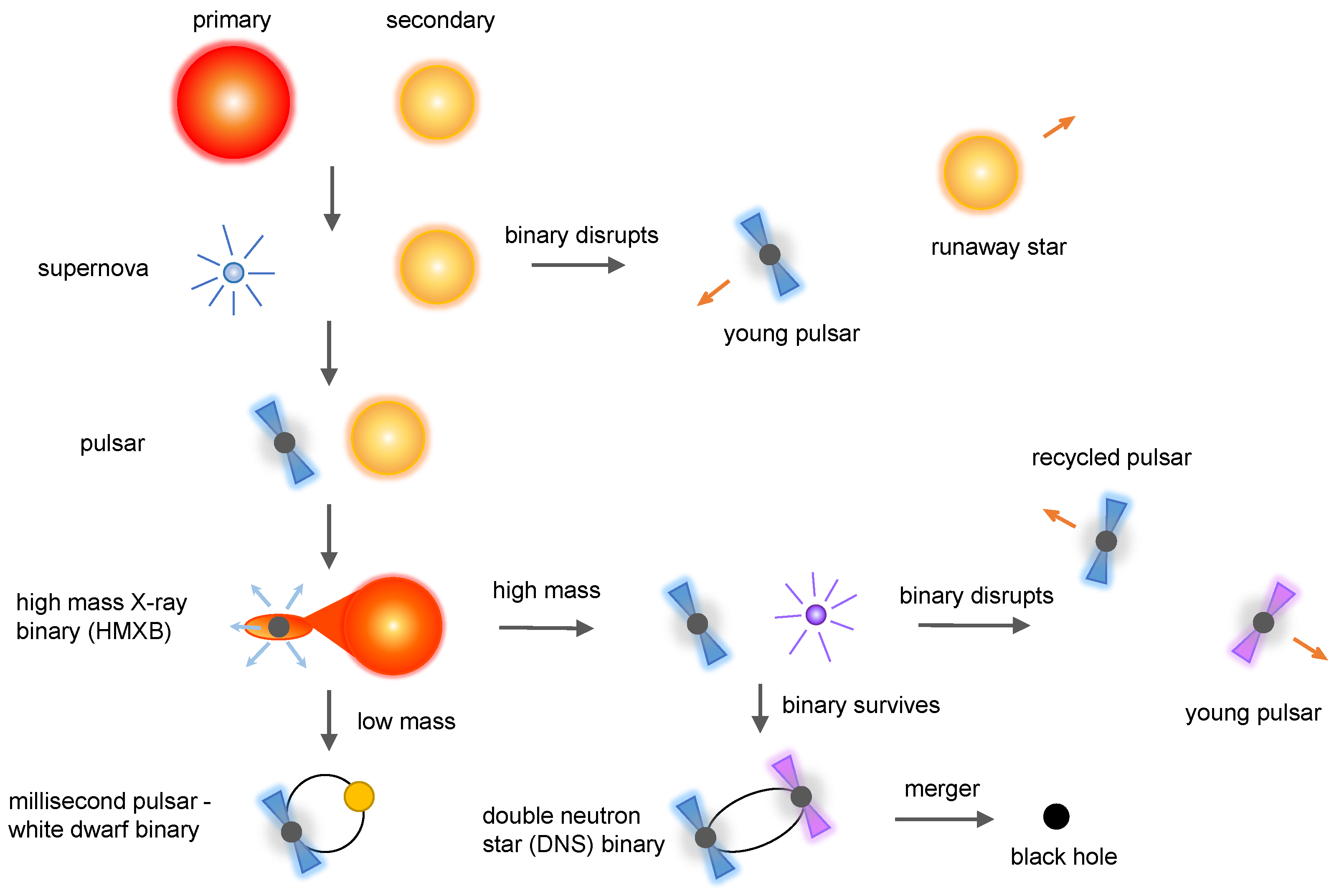 Measuring the Lense–Thirring Orbital Precession and the Neutron Star Moment of Inertia with Pulsars