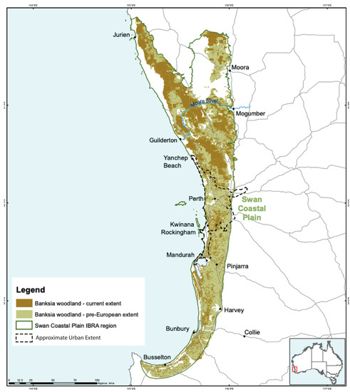 Nature-Positive Design and Development: A Case Study on Regenerating ...