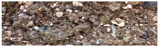 Urban Science | An Open Access Journal from MDPI