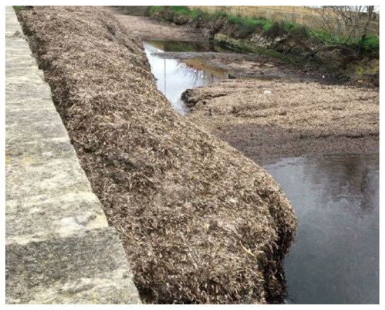 Urban Science | An Open Access Journal from MDPI