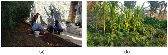 The MOVING GROUND Project: A Nature-Positive Case Study