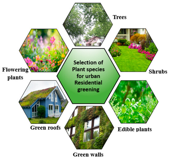 Framework for Enhancing Urban Living Through Sustainable Plant ...