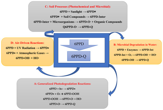 6PPD and 6PPD-Quinone in the Urban Environment: Assessing Exposure ...