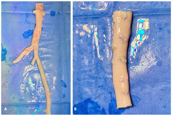 Uro | An Open Access Journal from MDPI