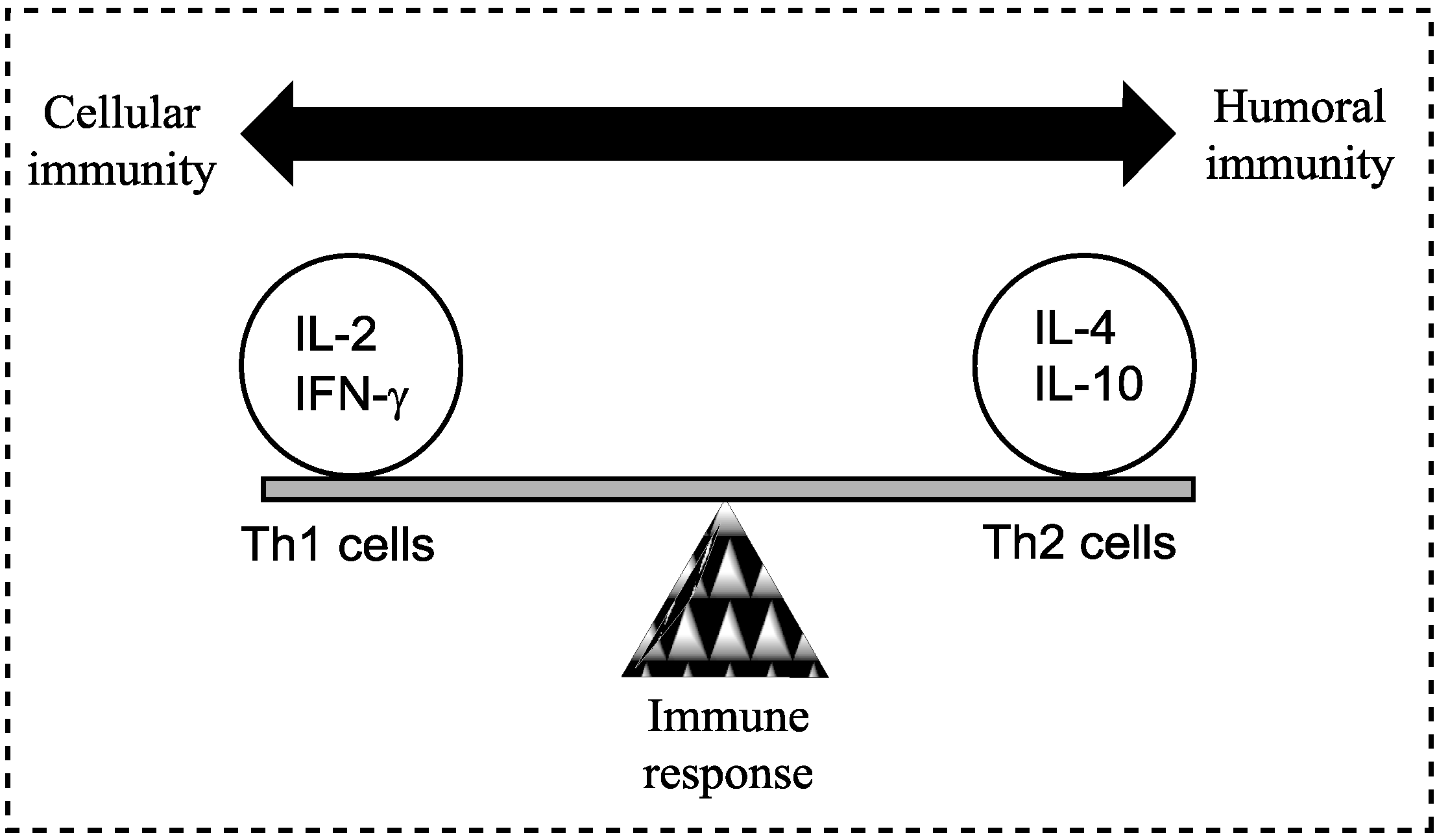 Schistosome Vaccine Adjuvants in Preclinical and Clinical Research