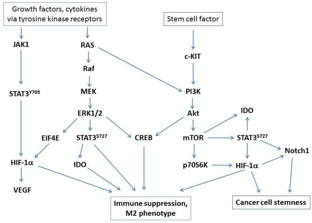 Signaling Circuits and Regulation of Immune Suppression by Ovarian ...